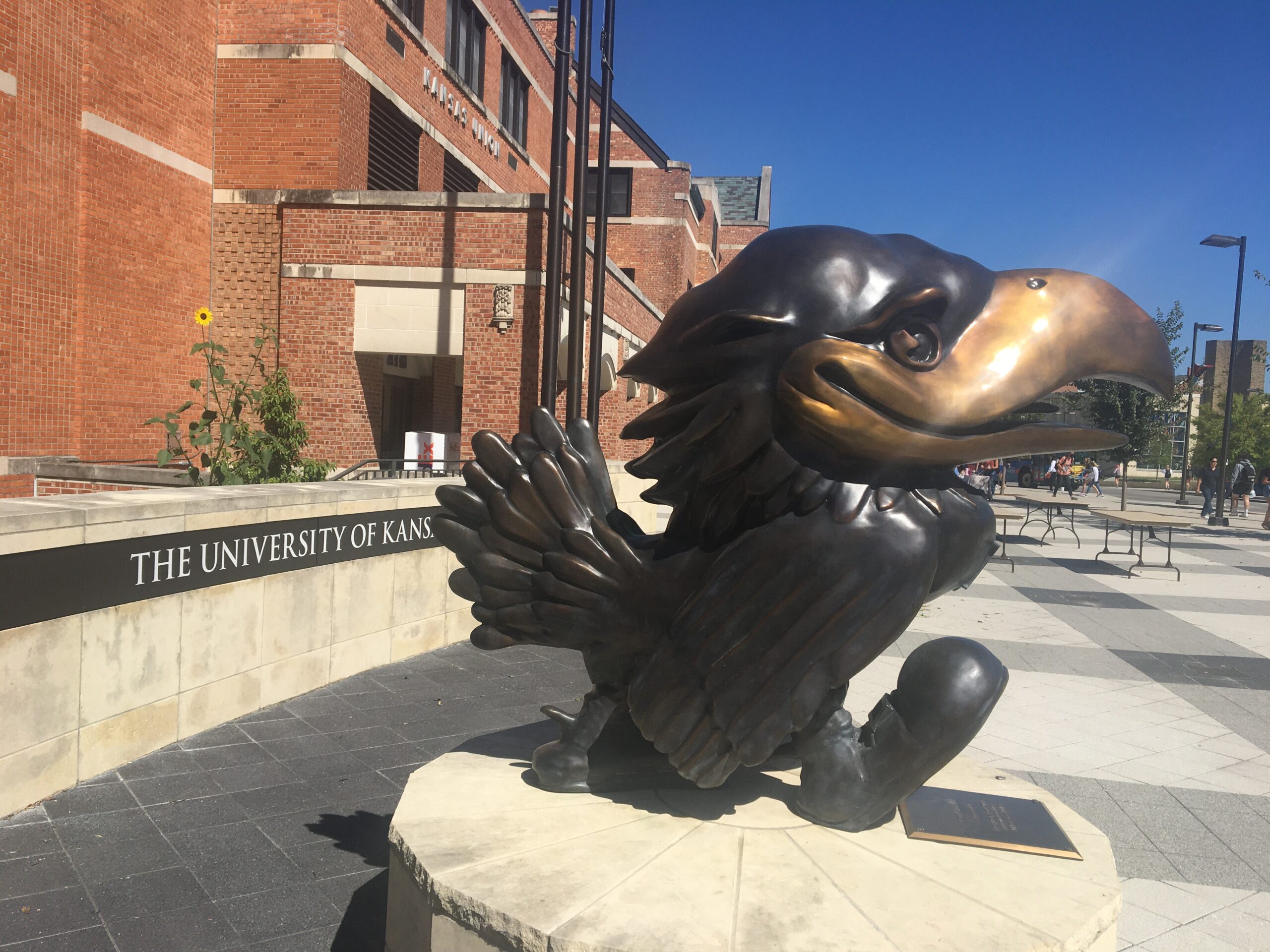 Regents give approval for a ‘test-free’ option for students to enter KU ...